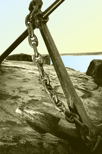 Ancrée dans la réalité – Petites Soeurs de Jésus